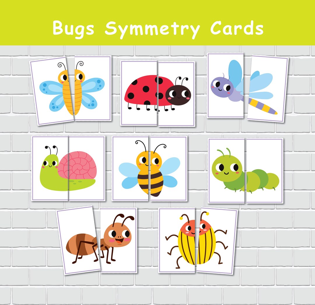 Bugs Matching Game, Symmetry Cards, Toddler Matching Activity ...