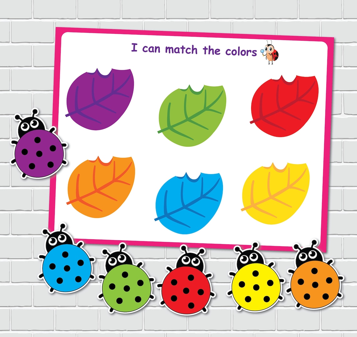 Ladybug Color Matching Activity, Toddler Printable, Montessori ...