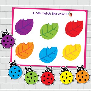 Ladybug Color Matching Activity, Toddler Printable, Montessori ...