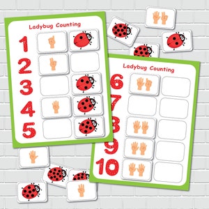 Ladybug Count and Match Activities, Preschool Math,toddler Busy Book ...