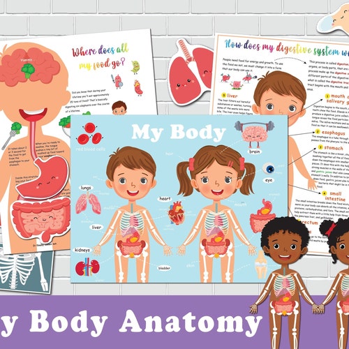 Preschool Busy Book Printable Toddler Learning Binder - Etsy