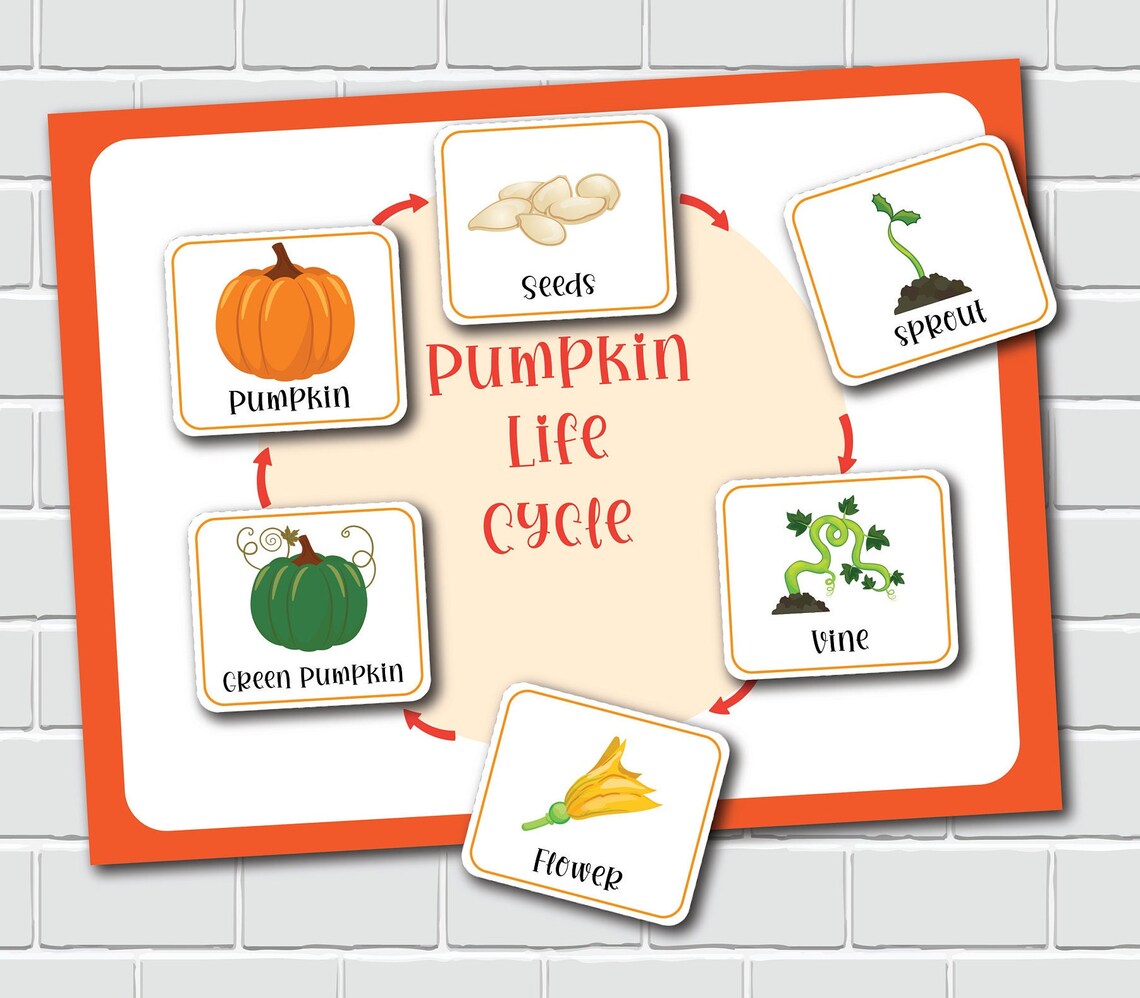 Fall Busy Book Autumn Quiet Book Toddler Learning Binder - Etsy