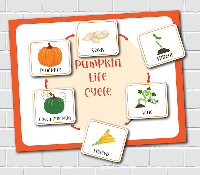 Fall Busy Book, Autumn Quiet Book, Toddler Learning Binder, Preschool ...