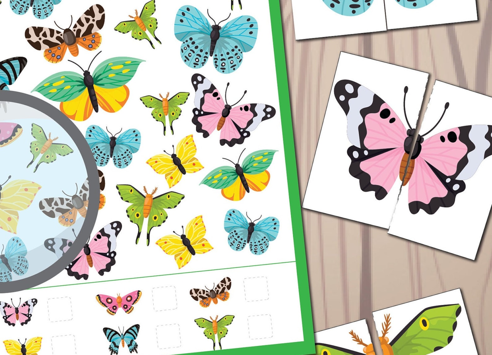 Cartes de symétrie papillon, activité d'espionnage, printemps ...