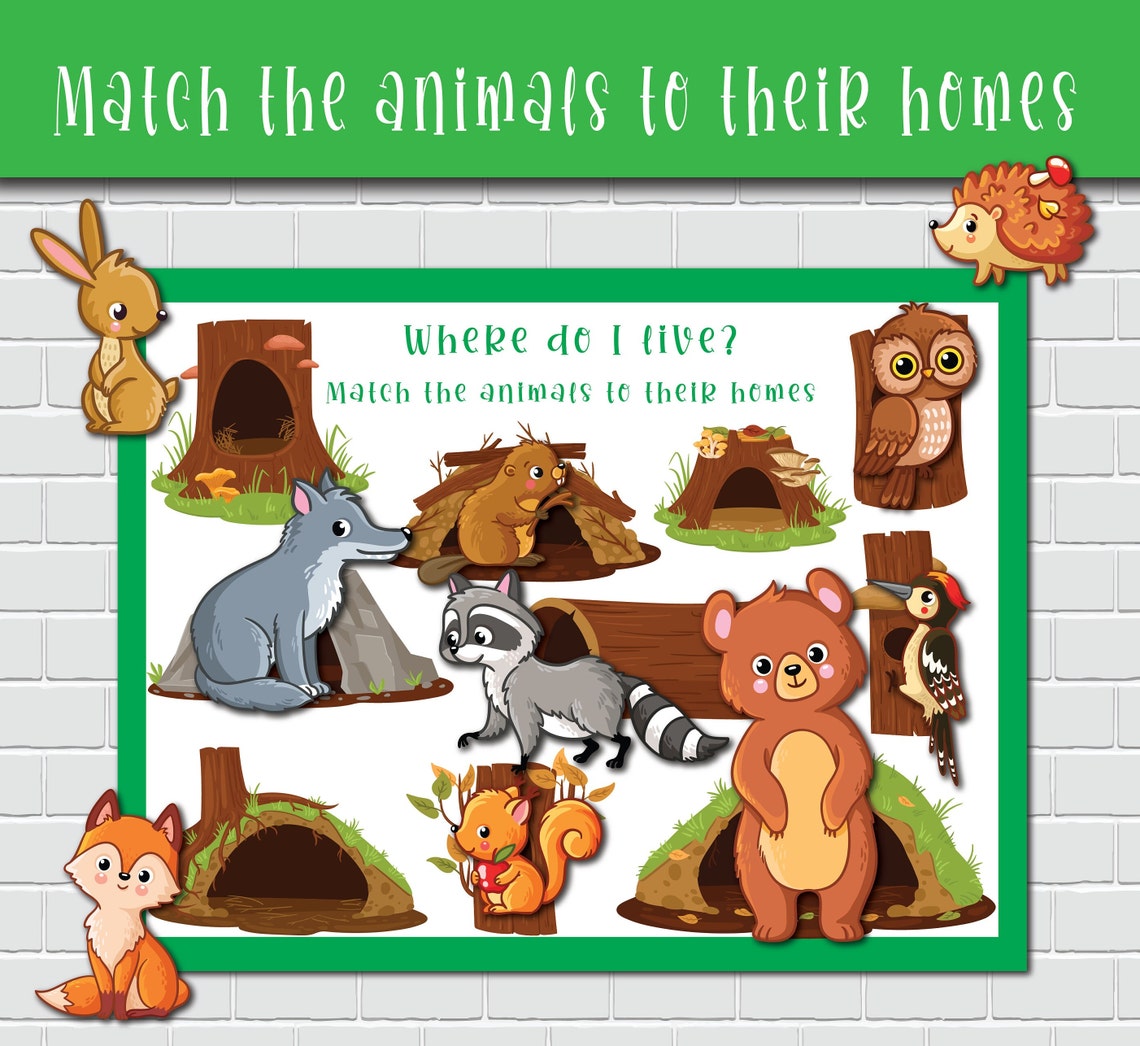 Forest Busy Book Toddler Learning Binder Preschool Worksheets - Etsy