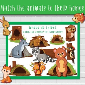 Forest Busy Book Toddler Learning Binder Preschool Worksheets ...