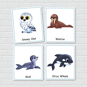 Arctic Animals Flashcards, Printable Cards for Kids, Preschool ...