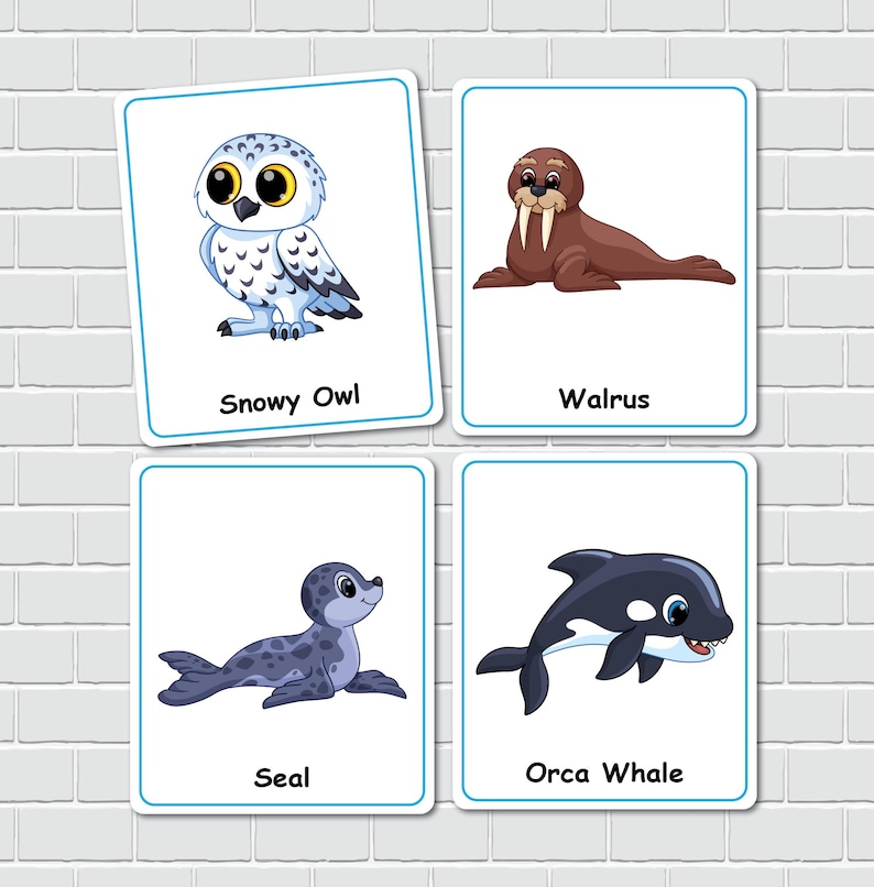 Arctic Animals Flashcards, Printable Cards for Kids, Preschool ...