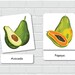 Fruits Three Part Cards Montessori Flashcards Homeschool - Etsy