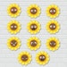 Sunflower Emotions Matching Activity for Kids, Toddler Feelings ...
