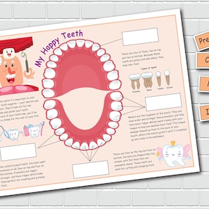 Dental Health Preschool Printable Activity Kids Anatomy Learning Binder ...