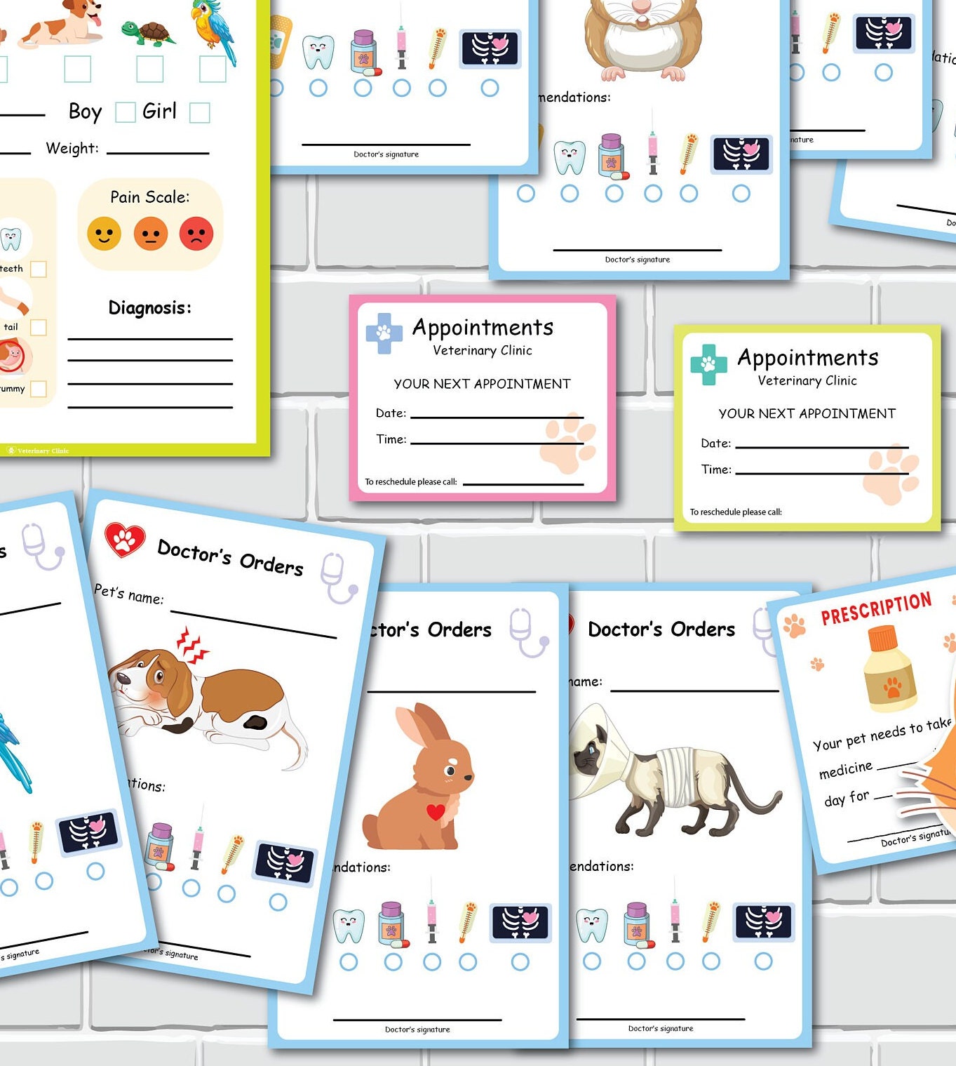 Vet Clinic Pretend Play, Printable Veterinary Dramatic Play Kit for ...