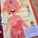 Anatomy Busy Book, Printable Learning Binder, Preschool Anatomy ...