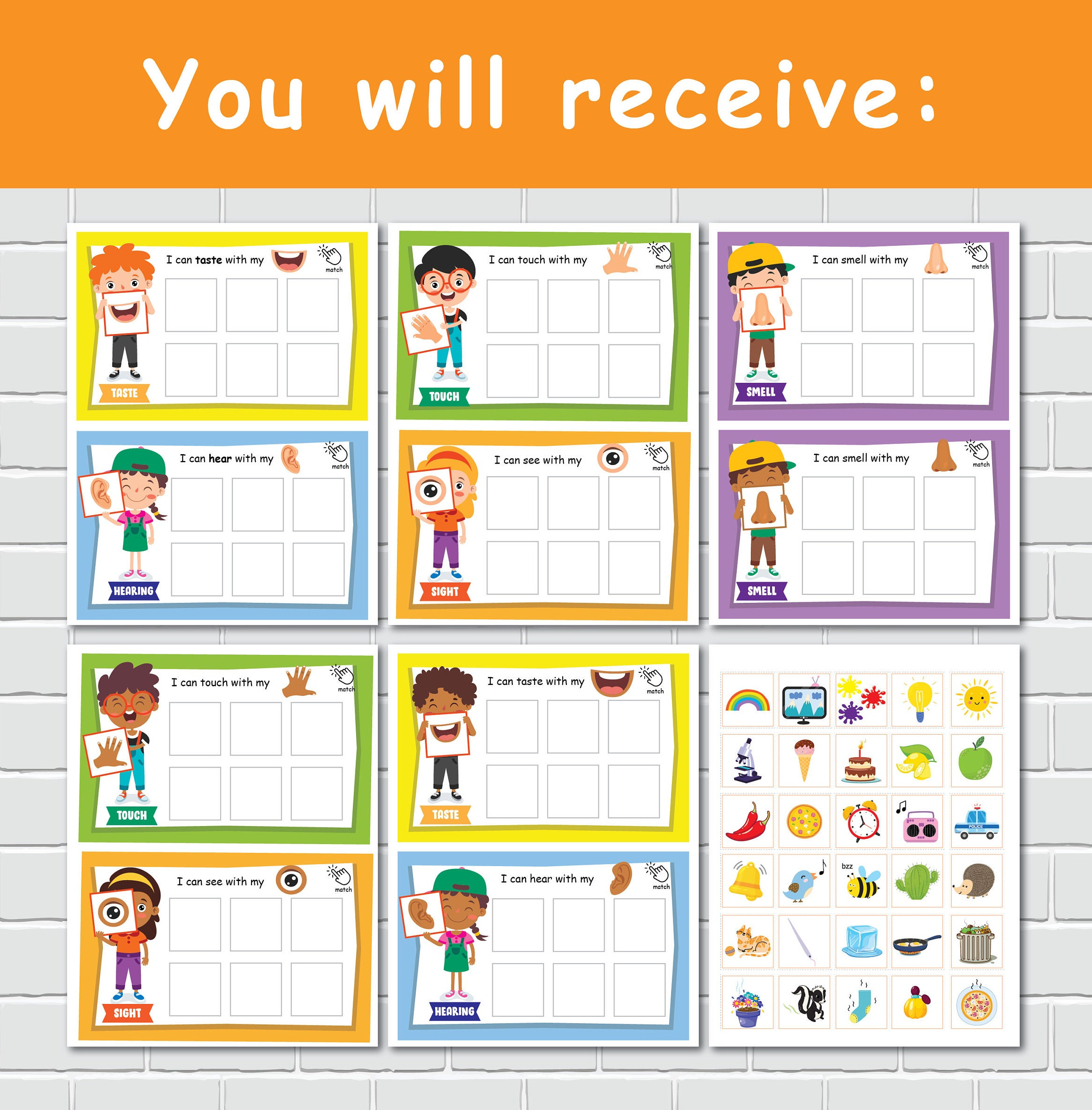 Five Senses Sorting Mats Printable Activity 5 Senses - Etsy