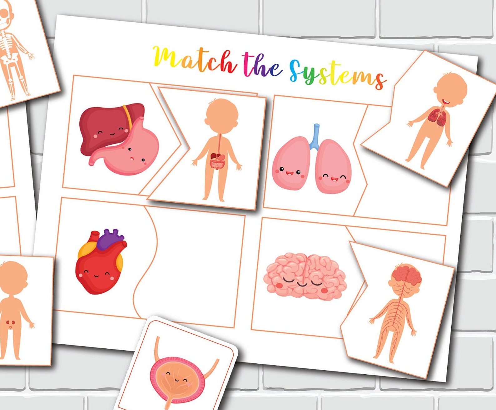 Body Systems Activity Human Anatomy Worksheets Preschool Busy Book ...