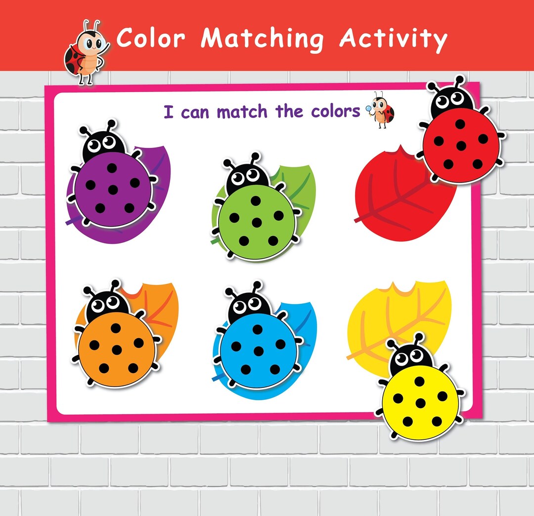 Ladybug Color Matching Activity, Toddler Printable, Montessori ...