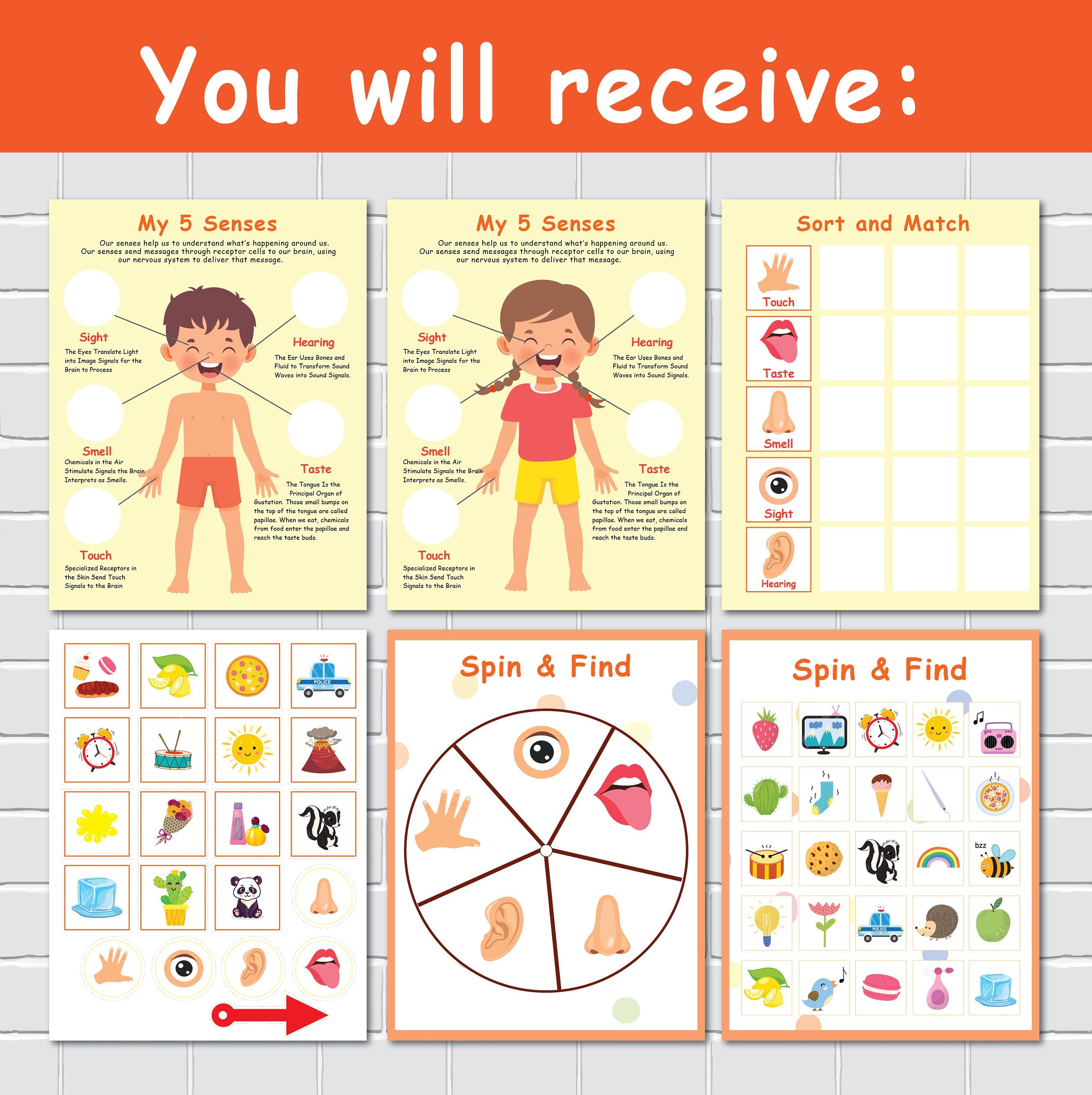 Five Senses Sorting Printable Activity 5 Senses Matching - Etsy Canada