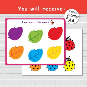 Ladybug Color Matching Activity, Toddler Printable, Montessori ...
