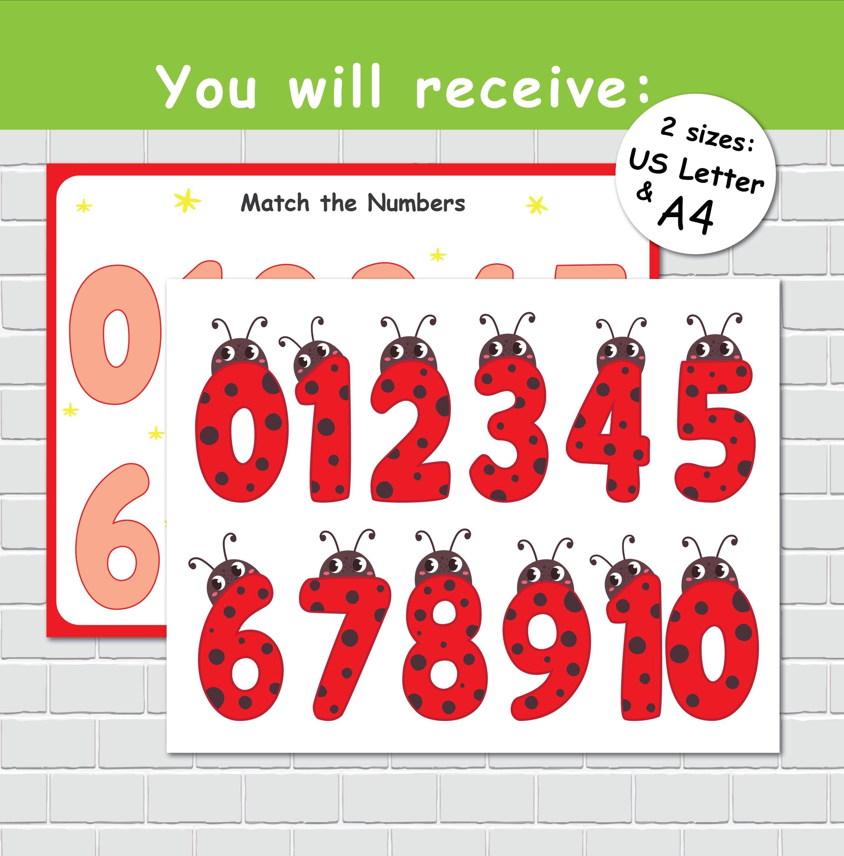 Ladybug Number Matching Game: Toddler Learning Binder (digital Download ...