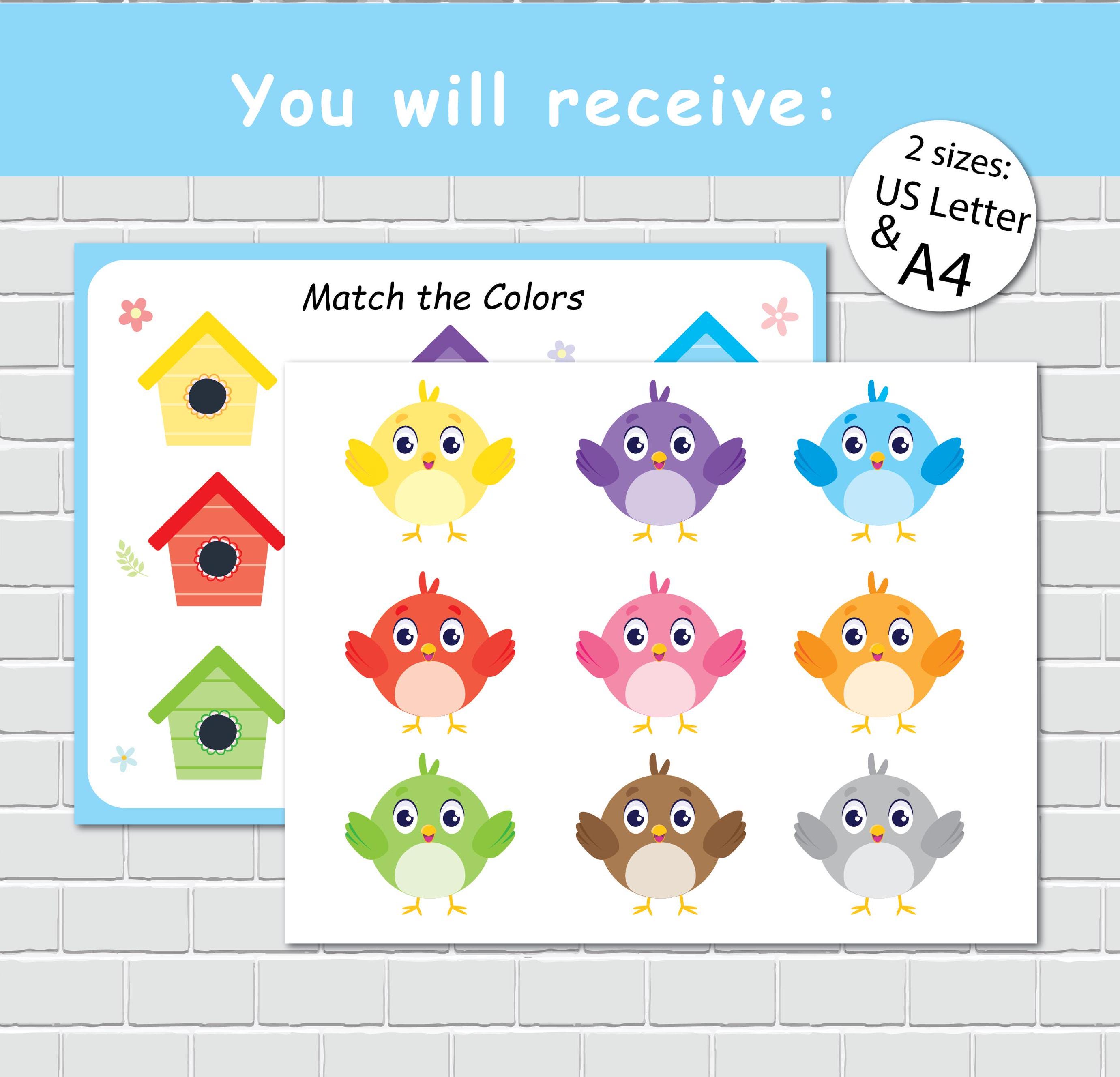 Birds Color Matching Activity, Color Printables, Toddler Busy Book ...