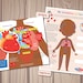 Human Heart Anatomy Activity, Kids Circulatory System, Anatomy Bundle ...