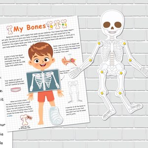 Human Skeleton Anatomy Activity, Printable Skeletal System, Bone ...