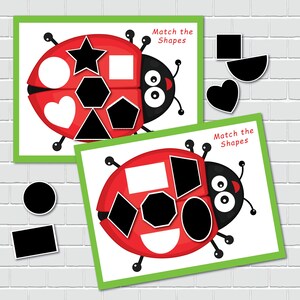 Ladybug Shapes Matching Activity, 2D Shapes, File Folder Games, Special ...