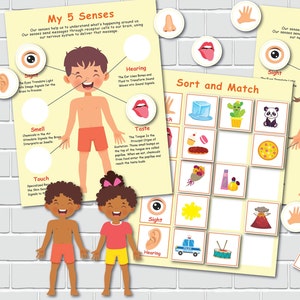 Five Senses Sorting Printable Activity, 5 Senses Matching, Homeschool ...