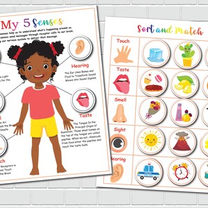 Five Senses Sorting Printable Activity 5 Senses Matching - Etsy Canada