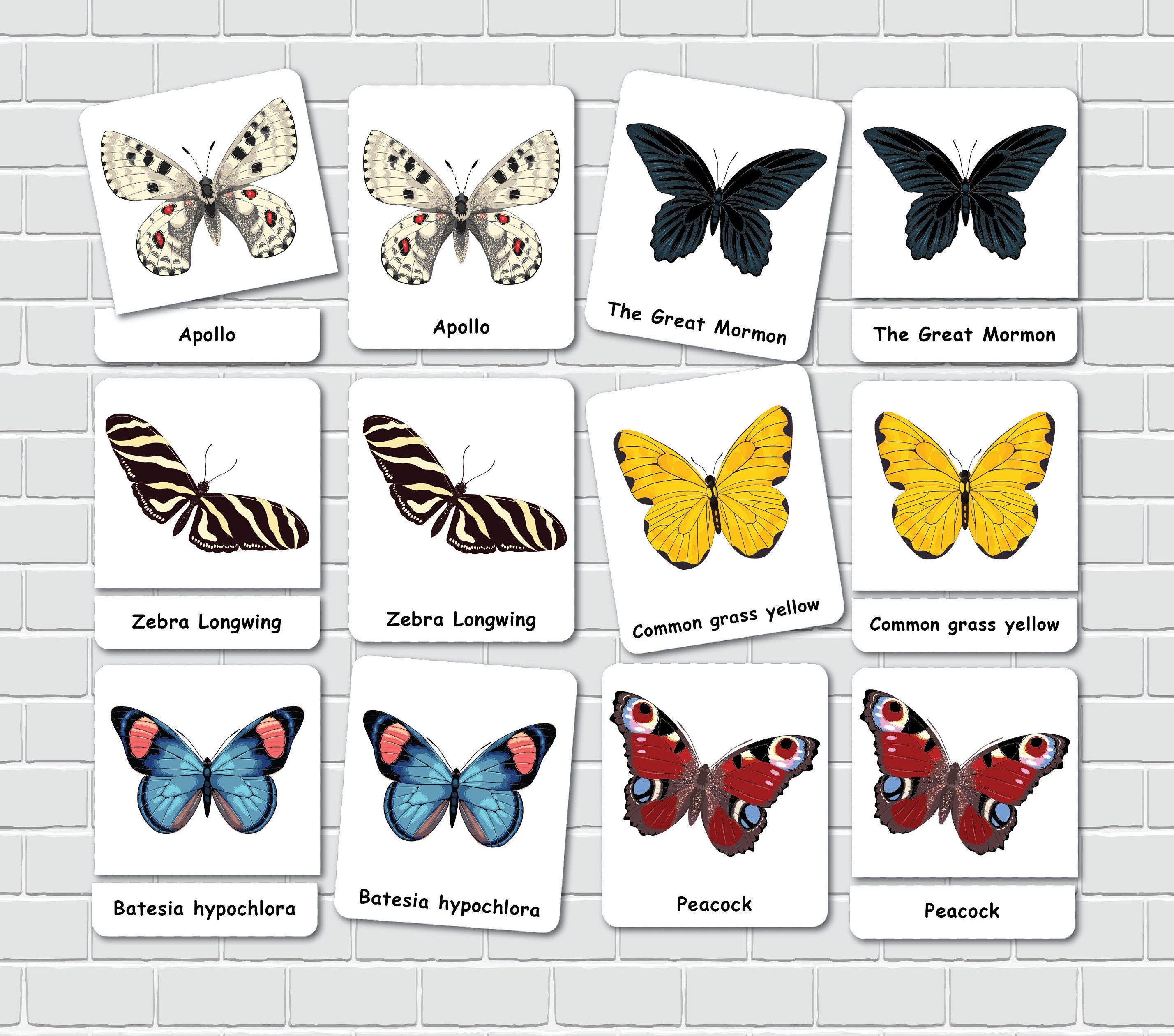 Butterfly Flash Cards, Montessori Three Part Cards, Homeschool ...