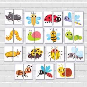 Bugs Matching Game, Symmetry Cards, Toddler Matching Activity ...