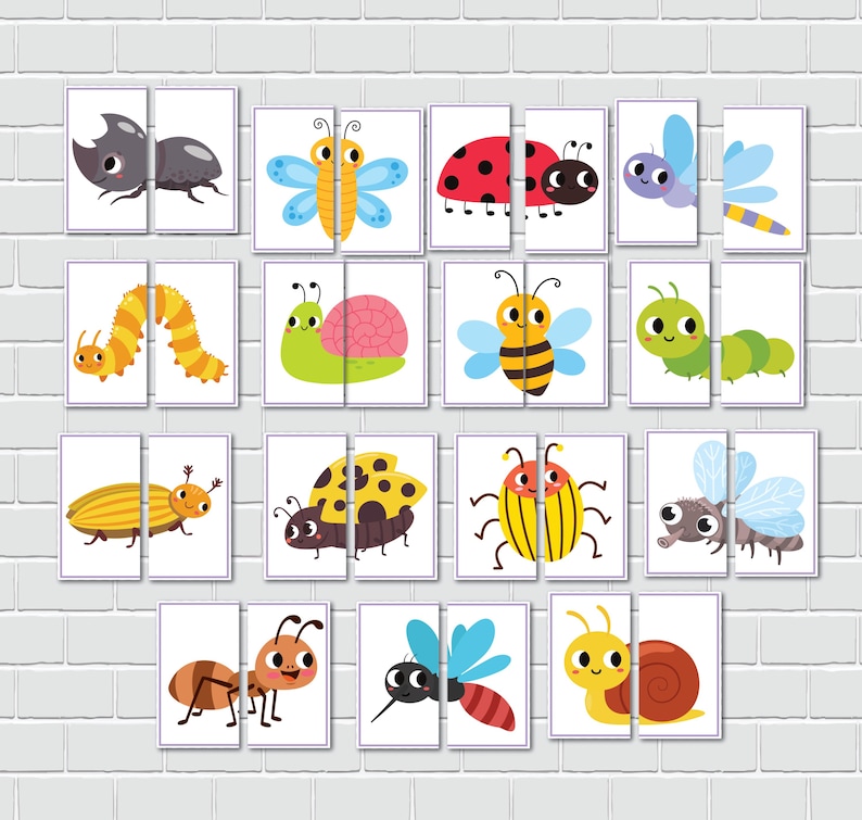 Bugs Matching Game, Symmetry Cards, Toddler Matching Activity ...