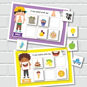Five Senses Sorting Mats, Printable Activity, 5 Senses Sorting ...