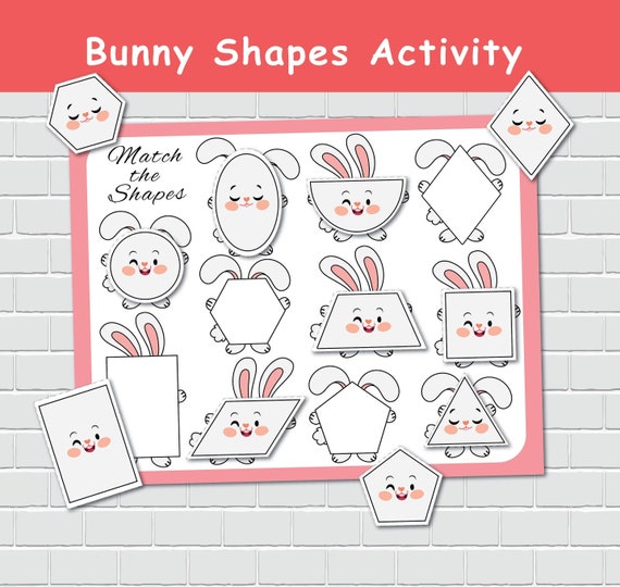 2d School Bunnys
