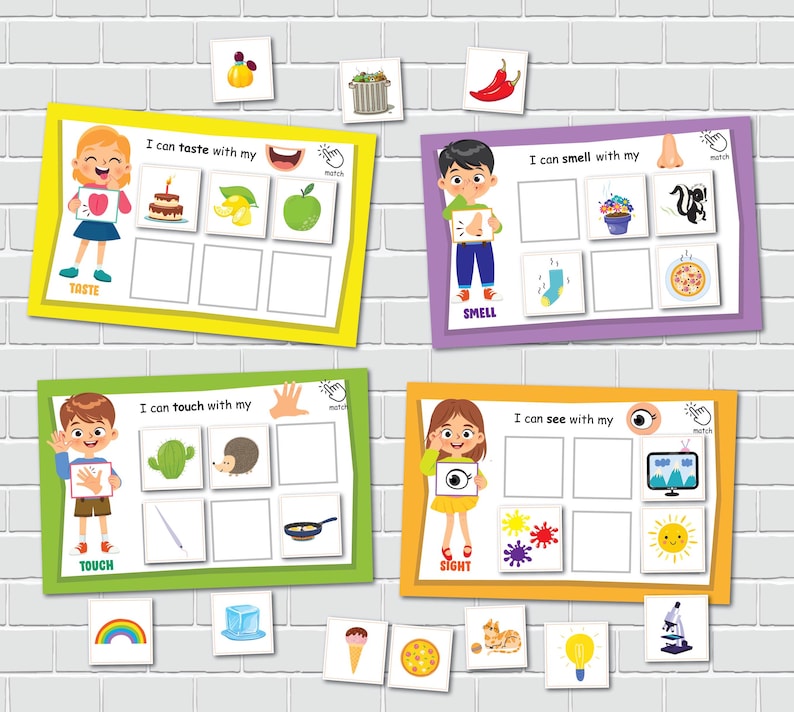 Five Senses Sorting Mats, Printable Activity, 5 Senses Sorting ...