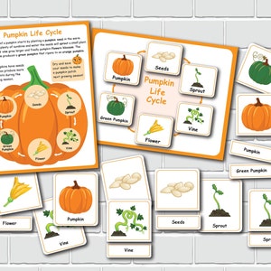 Pumpkin Unit Study, Life Cycle of a Pumpkin, Pumpkin Varieties, Fall ...