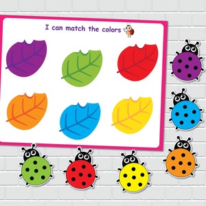 Ladybug Color Matching Activity, Toddler Printable, Montessori ...