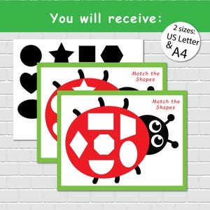 Ladybug Shapes Matching Activity, 2D Shapes, File Folder Games, Special ...