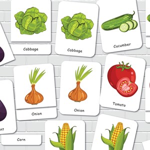Vegetables Three Part Cards, Montessori Flashcards, Homeschool ...