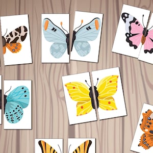 Cartes de symétrie papillon, activité d'espionnage, printemps ...