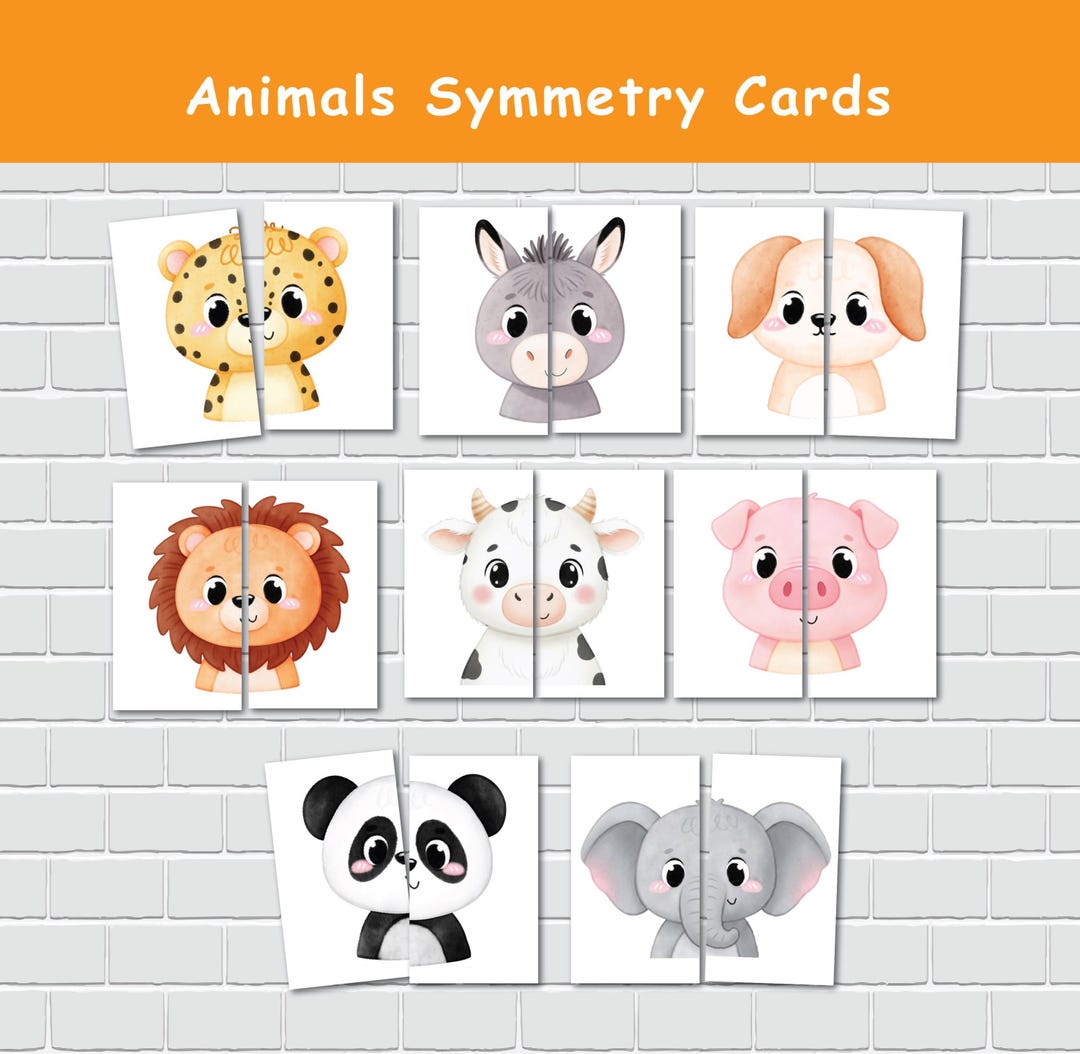Cartes de symétrie animaux, jeu d'associations, apprentissage ...