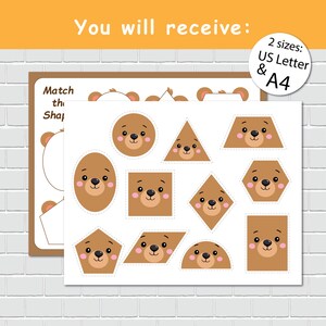 Bear Shape Matching Activity, 2D Shapes, File Folder Games, Special ...
