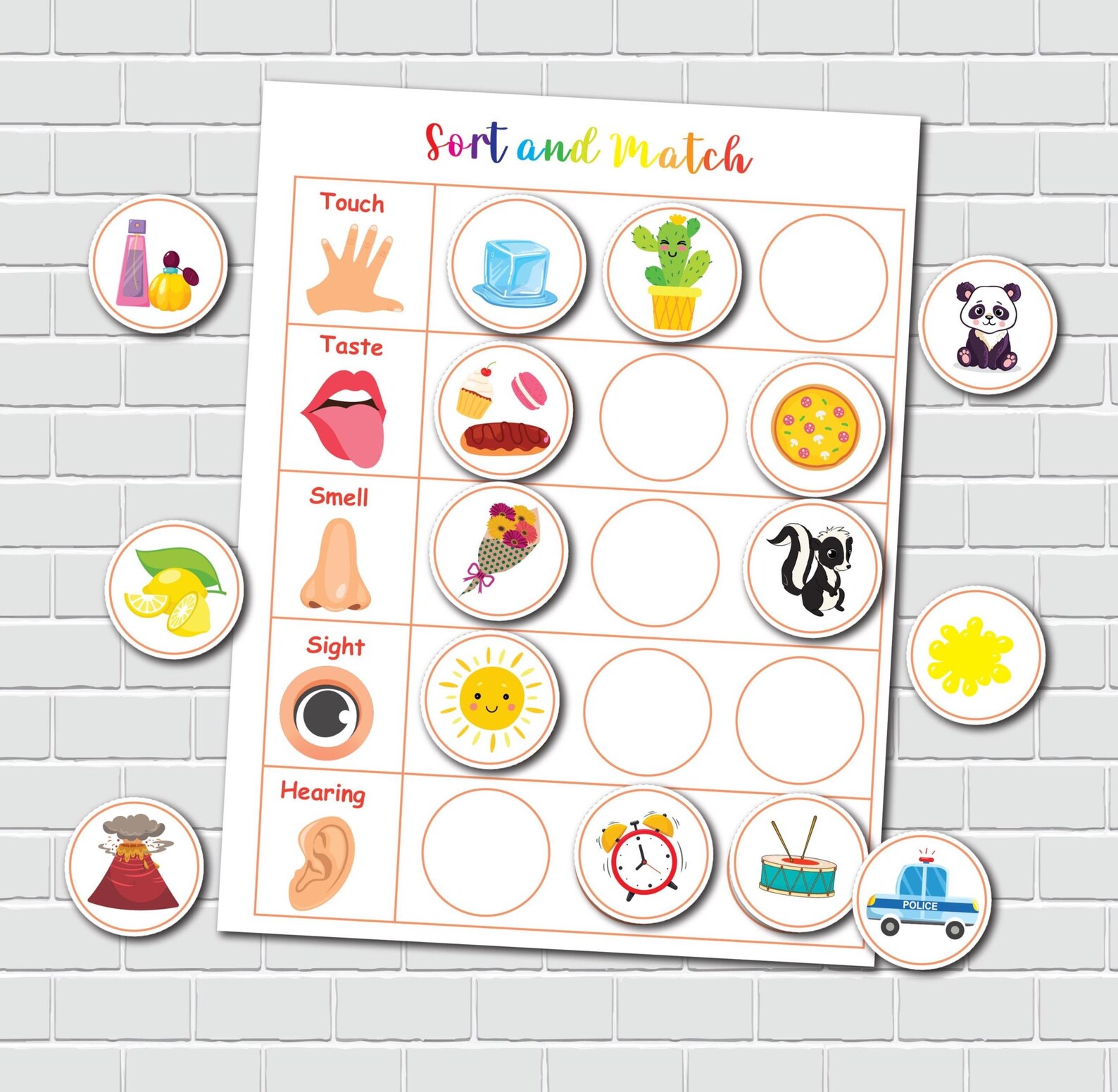 Five Senses Matching Activity: Preschool Anatomy Learning Binder (PDF ...