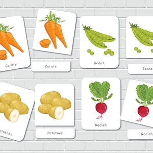 Vegetables Three Part Cards, Montessori Flashcards, Homeschool ...