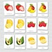 Fruits Three Part Cards Montessori Flashcards Homeschool - Etsy