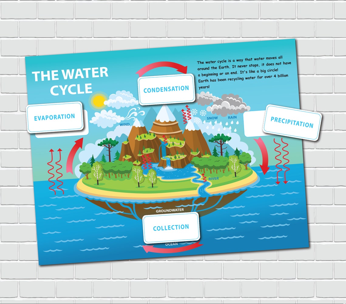 Water Cycle Printable Activity Kids Nature Study Kindergarten - Etsy