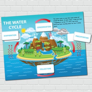 Water Cycle Printable Activity Kids Nature Study Kindergarten File ...