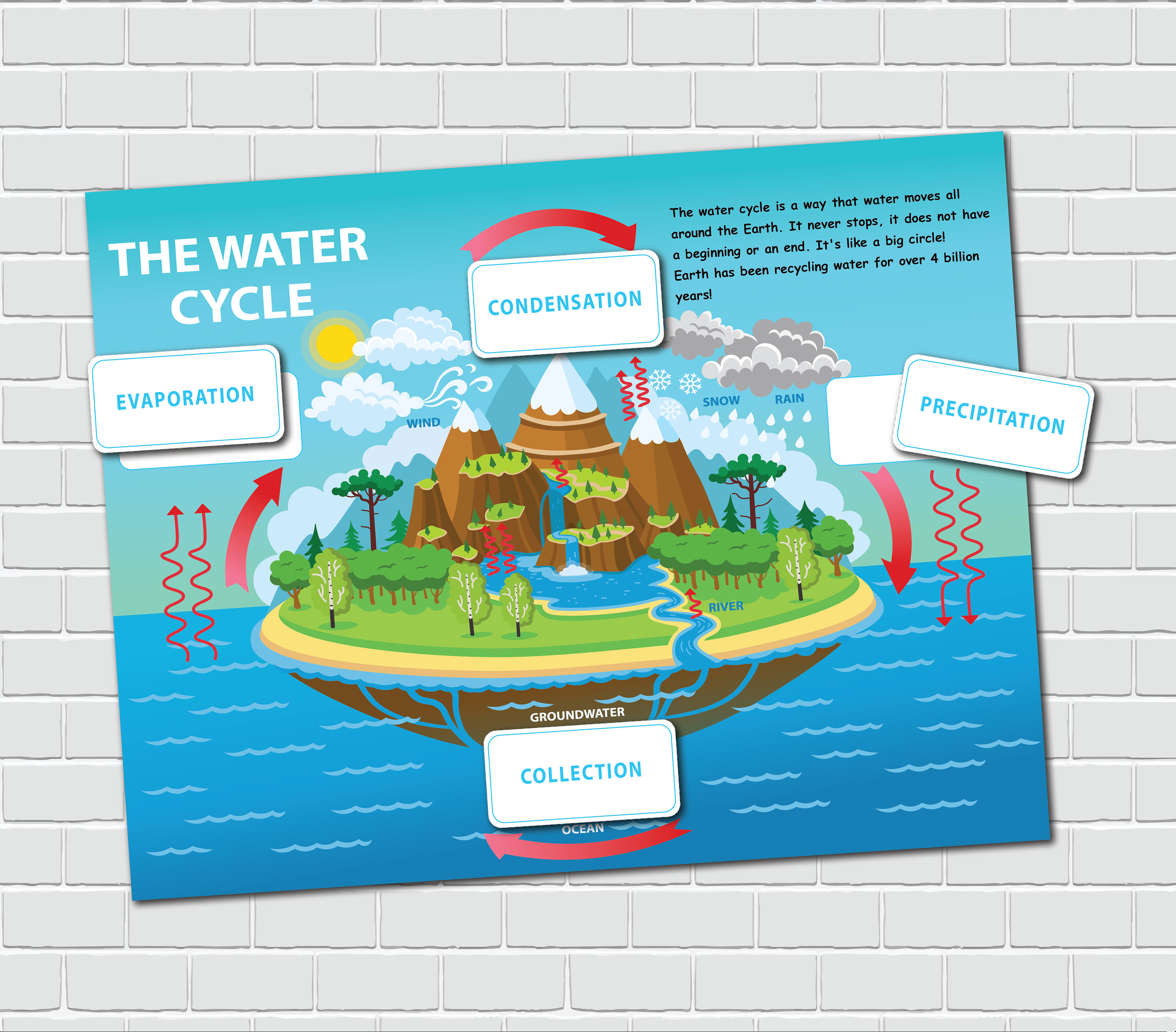 Water Cycle Printable Activity Kids Nature Study Kindergarten File ...