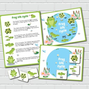 Life Cycle of a Frog, Frog Anatomy, 3 Part Montessori Cards, Nature ...