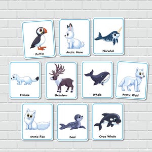 Arctic Animals Flashcards, Printable Cards for Kids, Preschool ...
